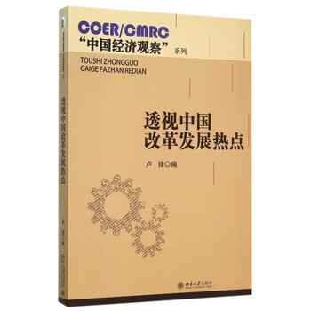 透视中国改革发展热点/CCER\CMRC中国经济观察系列