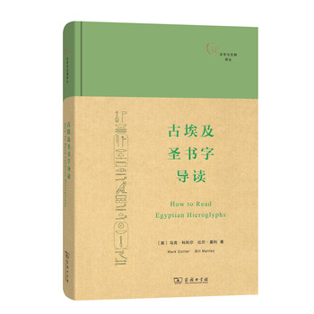 古埃及圣书字导读(文字与文明译丛)