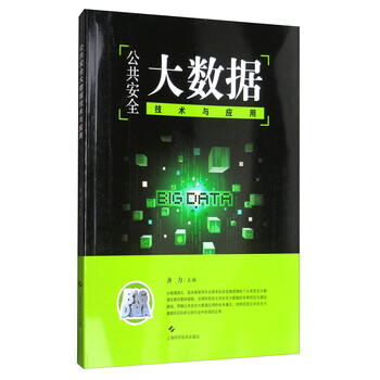 公共安全大数据技术与应用