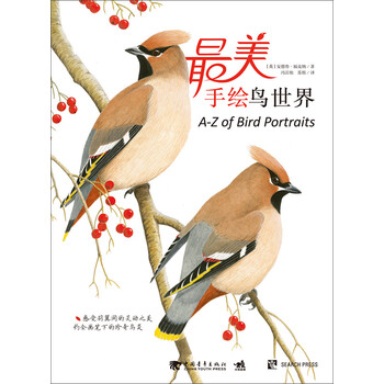 {正版新书}~美手绘鸟世界9787515333090