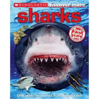 英文原版 学乐 Scholastic Discover More: Sharks