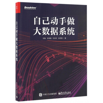自己动手做大数据系统