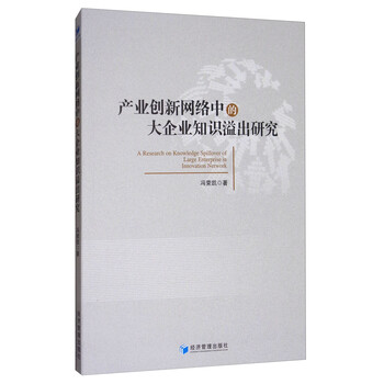 产业创新网络中的大企业知识溢出研究