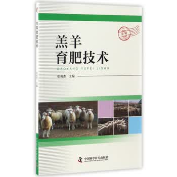 羔羊育肥技术