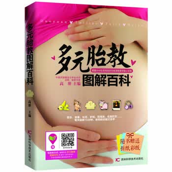  多元胎教图解百科9787538472288