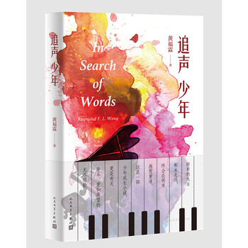追声少年
