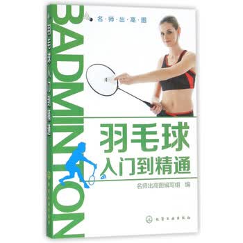 羽毛球入门到精通/名师出高图
