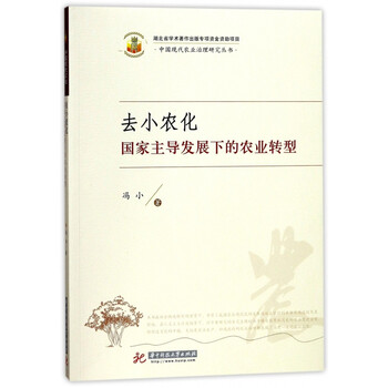 去小农化(国家主导发展下的农业转型)/中国现代农业治理研究丛书