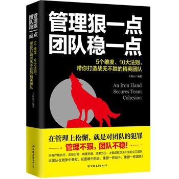 管理狠一点/团队稳一点/图书/管理/通俗读物