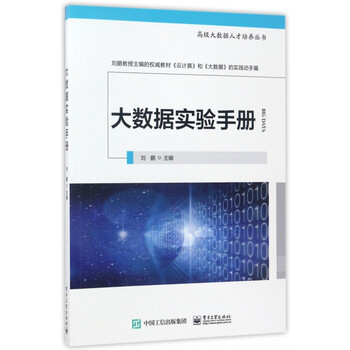 大数据实验手册/高级大数据人才培养丛书