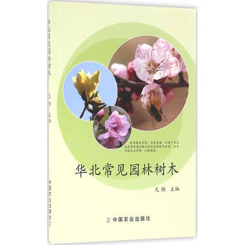 华北常见园林树木