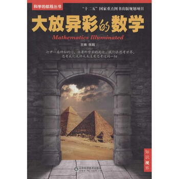 大放异彩的数学