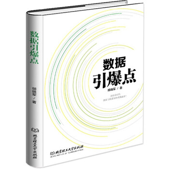 数据引爆点 胡晓军