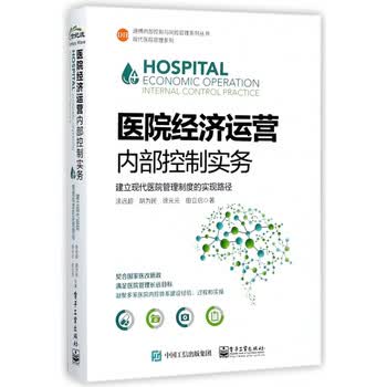医院经济运营内部控制实务(建立现代医院管理制度的实现路径)/现代医院管理系列/迪博内