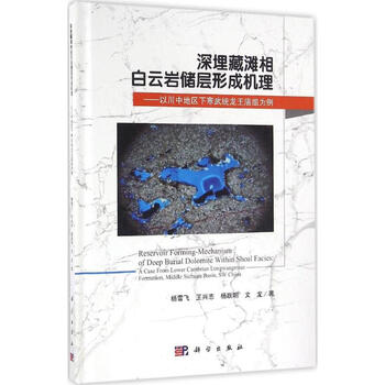 深埋藏滩相白云岩储层形成机理