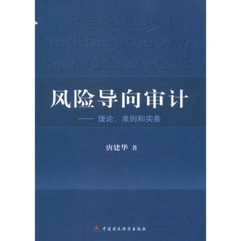 风险导向审计:理论.准则和实务