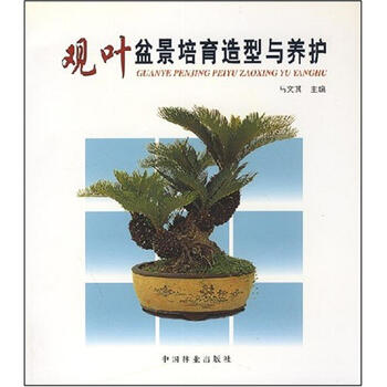 观叶盆景培育造型与养护