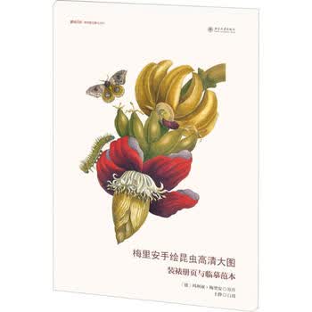梅里安手绘昆虫高清大图