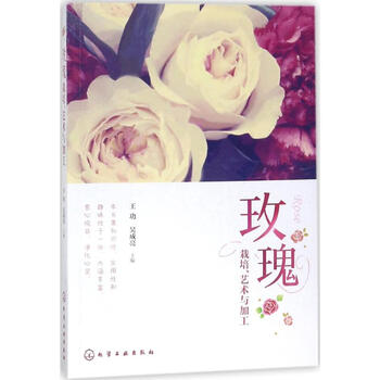 玫瑰