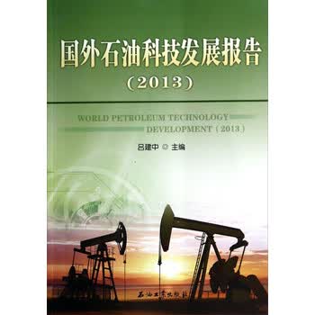 国外石油科技发展报告(2013)