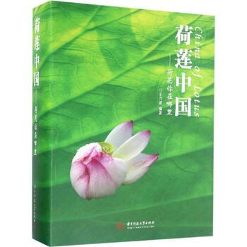 荷莲中国