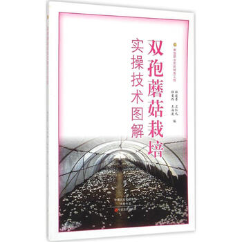 双孢蘑菇栽培实操技术图解