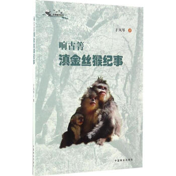 响古箐滇金丝猴纪事