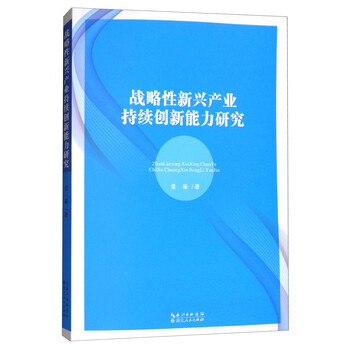战略性新兴产业持续创新能力研究