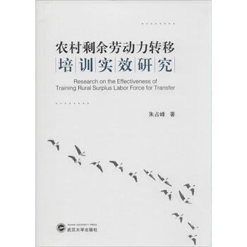 农村剩余劳动力转移培训实效研究
