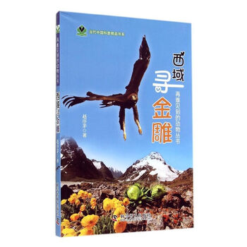 西域寻金雕