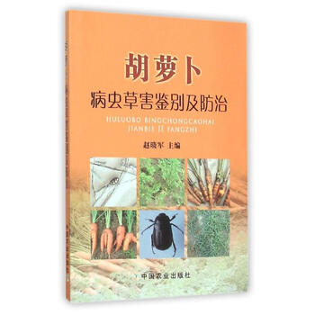 胡萝卜病虫草害鉴别及防治