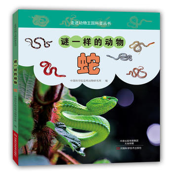 谜一样的动物——蛇