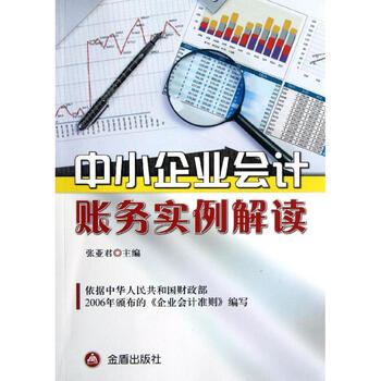 中小企业会计财务实例解读