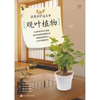 图说盆栽养护这点事.观叶植物