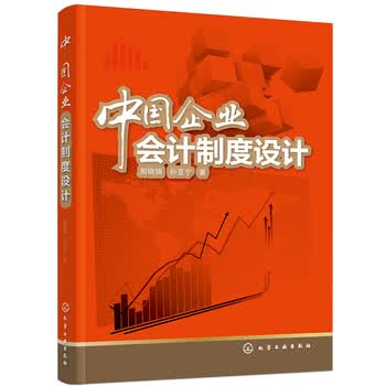 中国企业会计制度设计