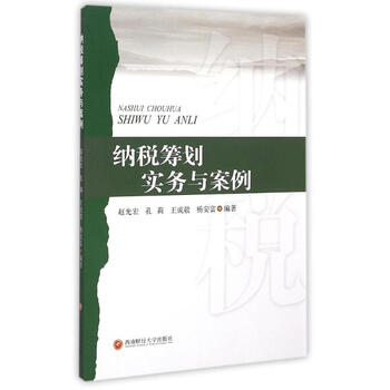 纳税筹划实务与案例