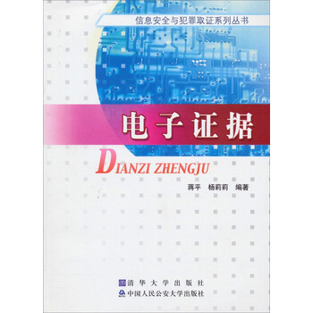 信息安全与犯罪取证系列丛书：电子证据