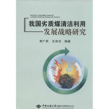 我国劣质煤清洁利用发展战略研究