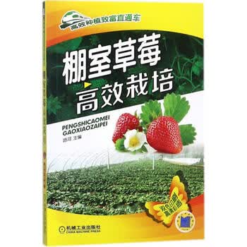 棚室草莓高效栽培