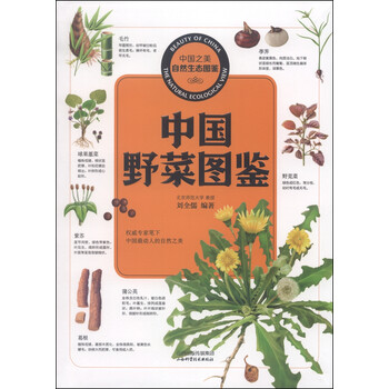 中国之美自然生态图鉴 中国野菜图鉴