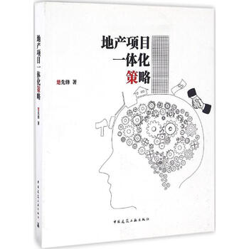 地产项目一体化策略