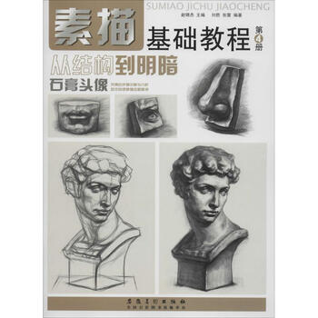 素描基础教程(4)石膏头像