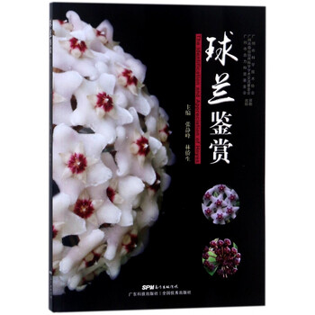 球兰鉴赏
