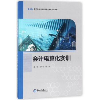 会计电算化实训