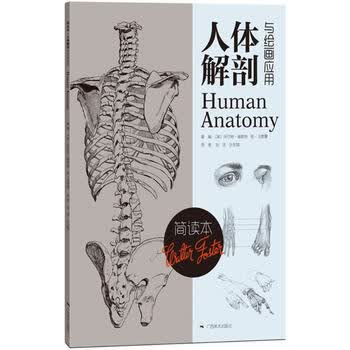 人体解剖与绘画应用(简读本)