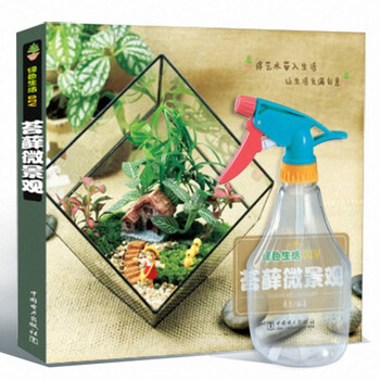苔藓微景观(绿色生活DIY)+振兴喷壶600ML