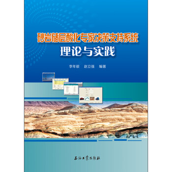 砂岩储层酸化专家决策支持系统理论与实践