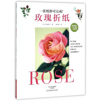 玫瑰折纸(附光盘)