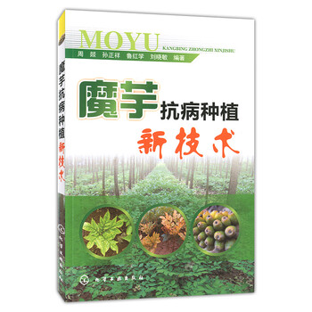 魔芋抗病种植新技术
