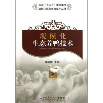规模化生态养鸭技术
